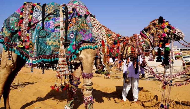 10 Best Fairs and Melas in India you can't miss! 2023