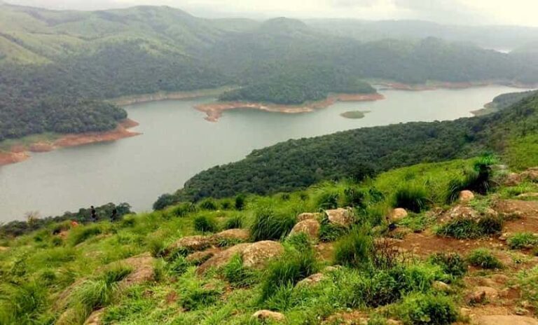 Top 13 BEST Places to Visit in Idukki