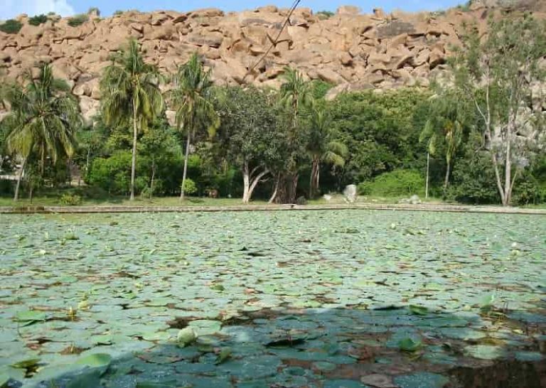 Popular Lakes of Karnataka - Top Lakes & Backwaters near Bangalore